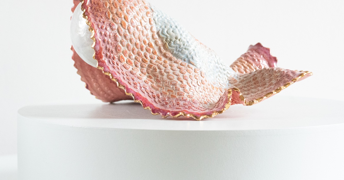 Wild Wisdom: An interview with Serena Korda by Fay Nicolson | Cooke ...